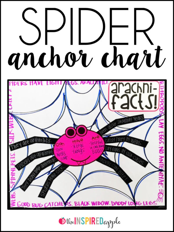 Spider Activities for Primary Students - Babbling Abby